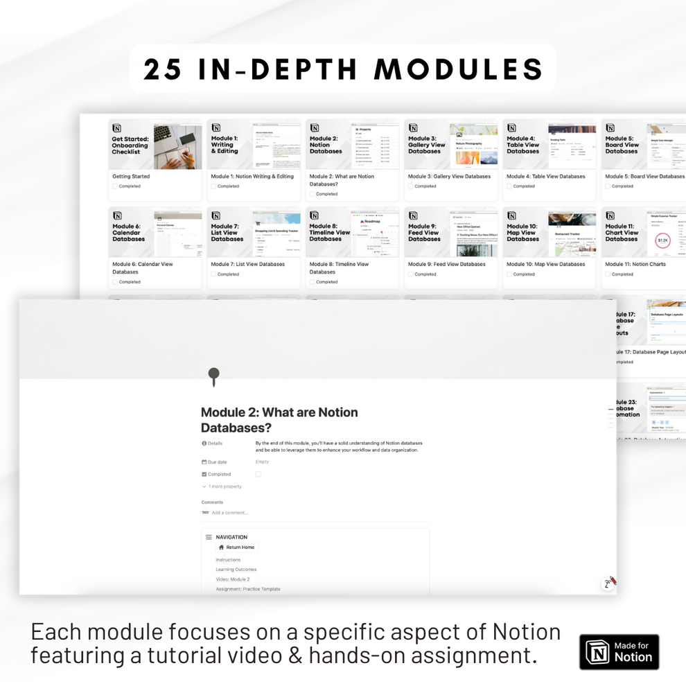 Notion Mastery Course: Learn by Building – The Organized Notebook